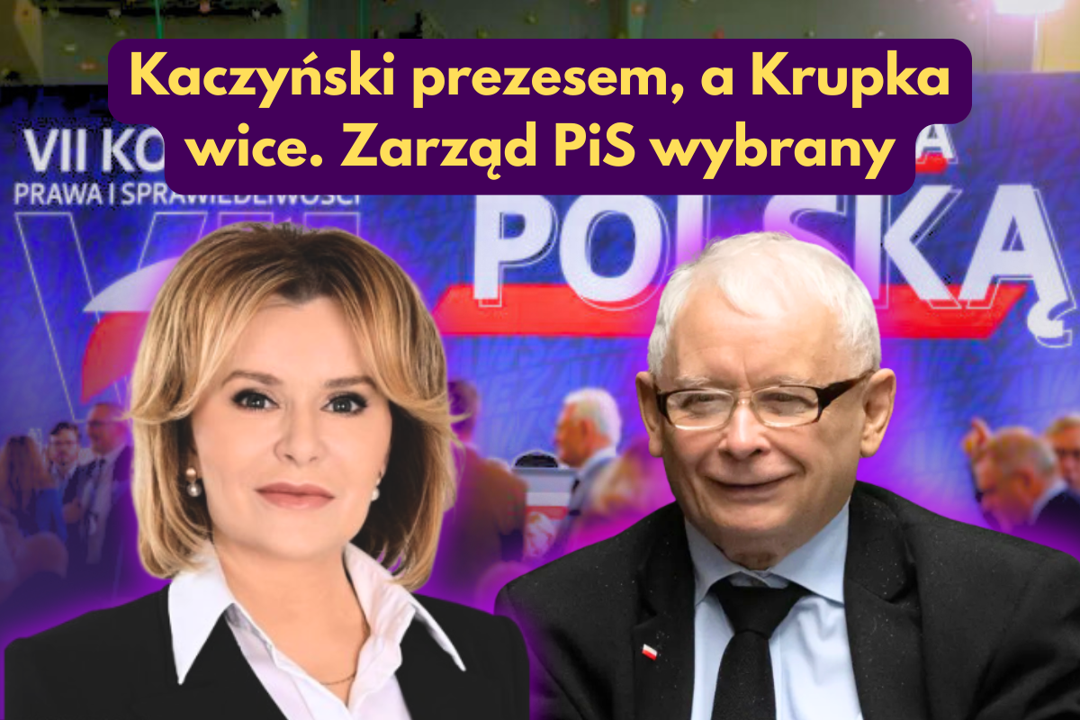 Anna Krupka wiceprezesem PiS hajp.media